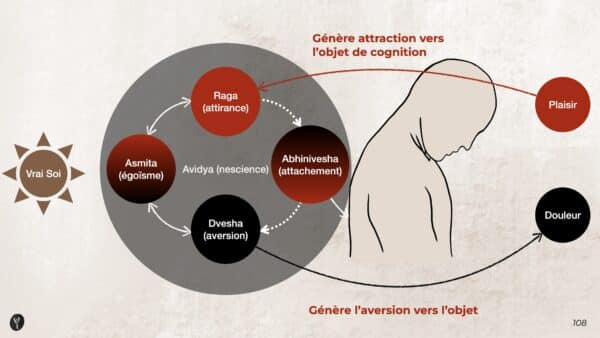 Blog - Yoga Laboratorium
