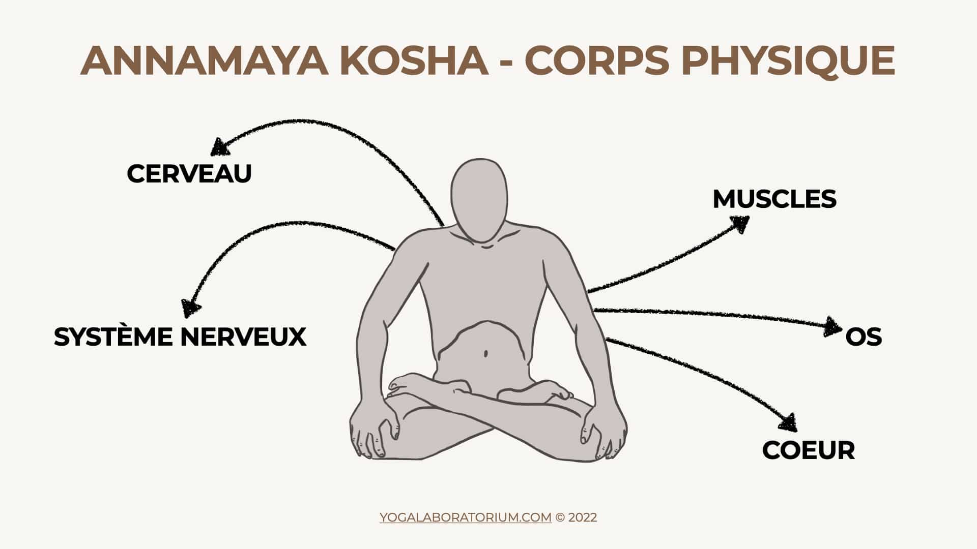 Les 5 Kosha - enveloppes du corps - Yoga Laboratorium