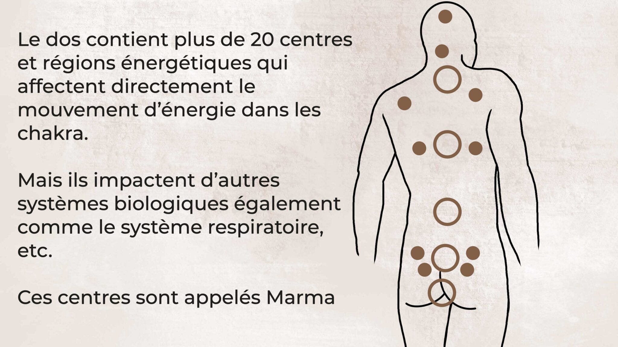 Yoga : pourquoi le dos est si important ? - Yoga Laboratorium