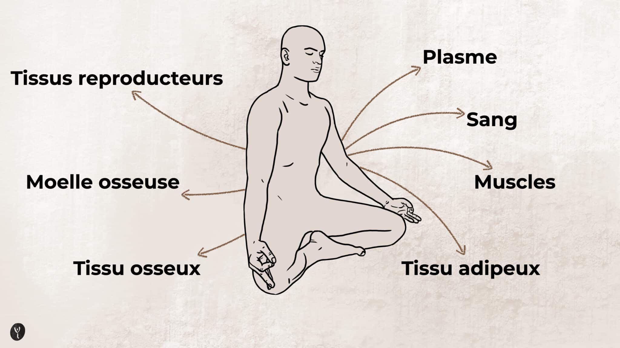 Comprendre Agni - le feu digestif dans Ayurveda - Yoga Laboratorium