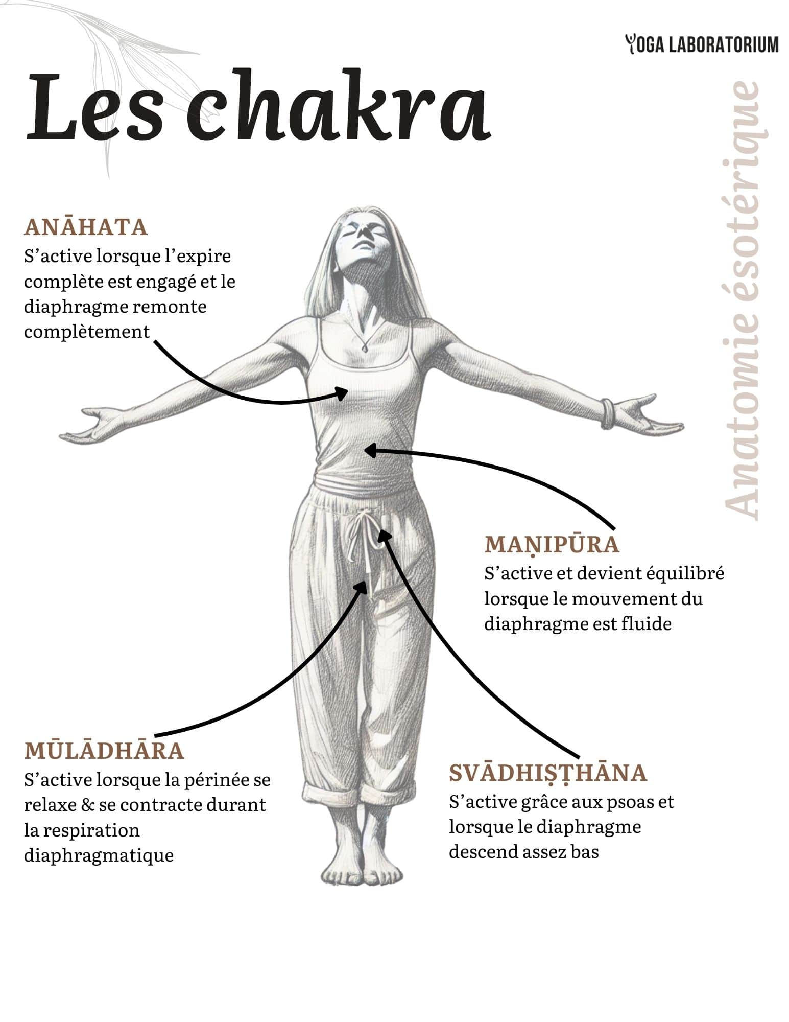 Respiration diaphragmatique : La clé pour apaiser le corps et l’esprit - Yoga Laboratorium